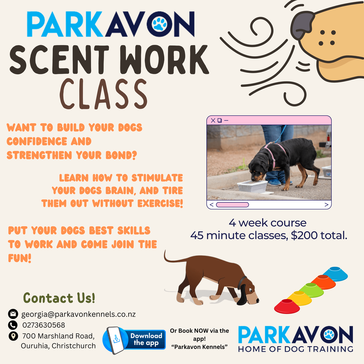 Scent Work Class | Parkavon Kennels